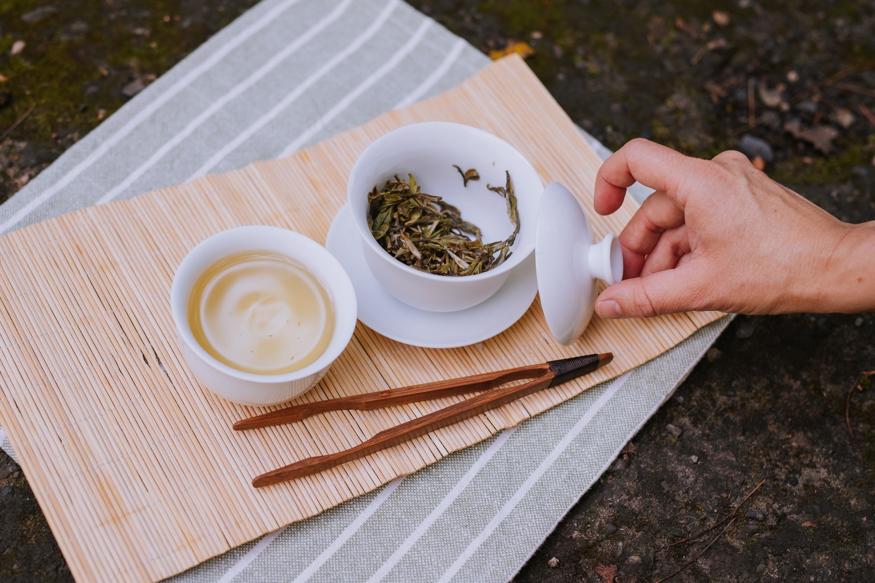 Caffeine Free White Tea - Nan Mei Wild Buds – Saratoga Tea & Honey Co.