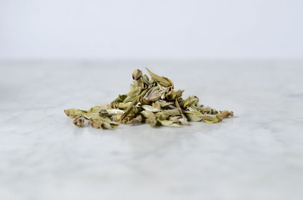 Caffeine Free White Tea - Nan Mei Wild Buds – Saratoga Tea & Honey Co.