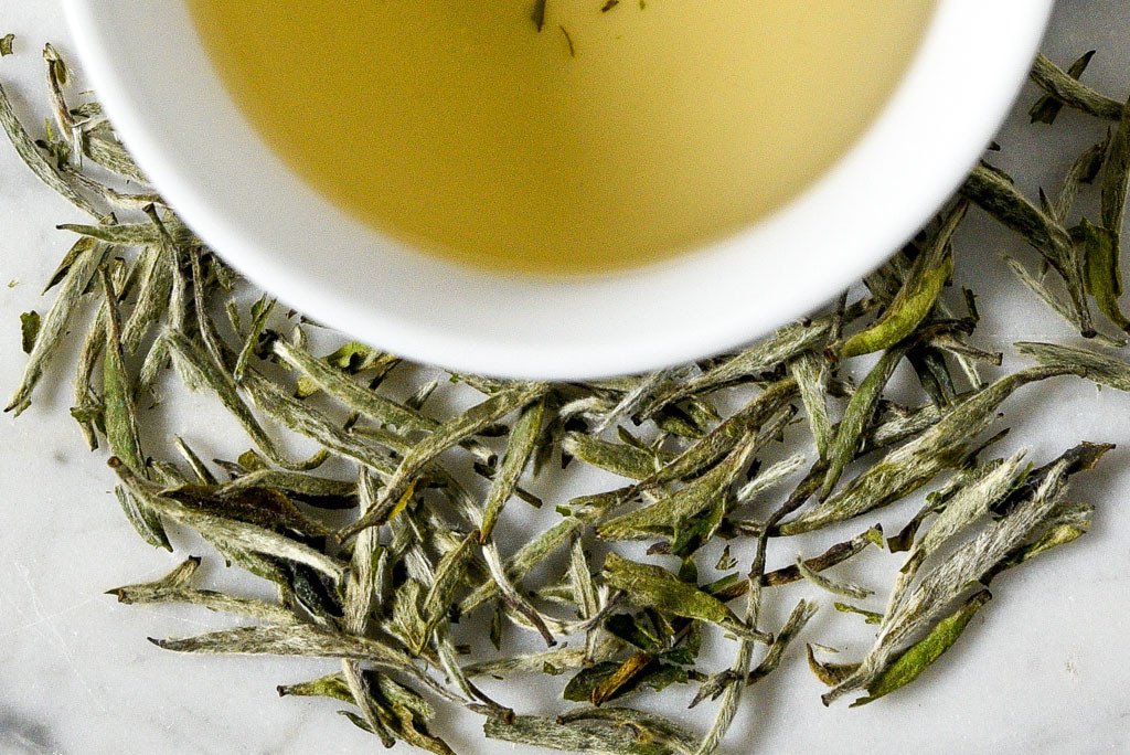 Tea Expert Answers: How to Brew White Tea – Saratoga Tea & Honey Co.